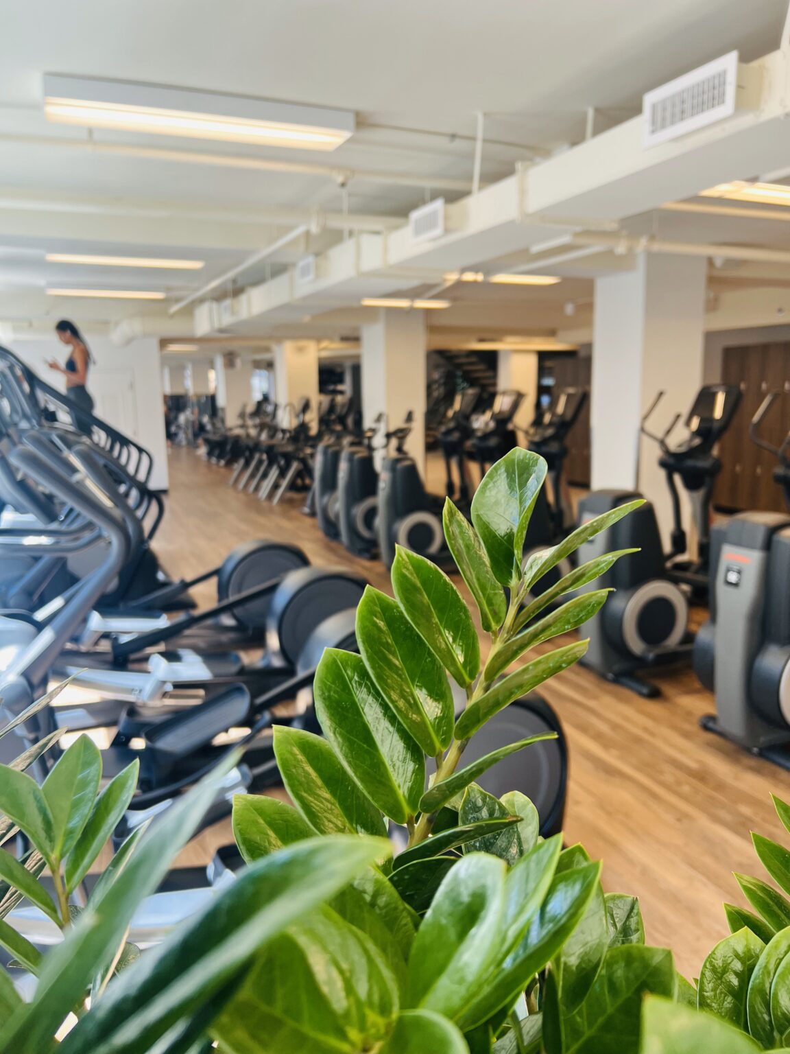 Healthworks Back Bay Gym - Premier Women's Fitness Club